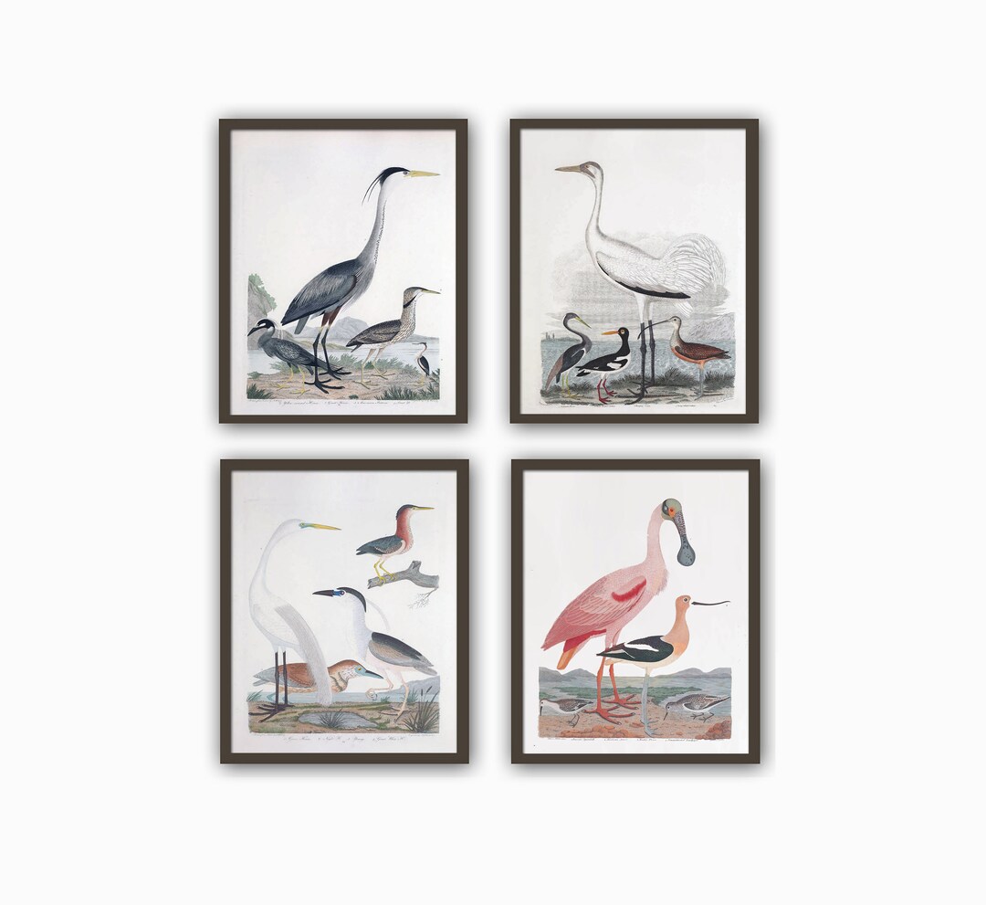 Birds in Lake Landscape Art Print, Waterbird Illustration Wall Art ...