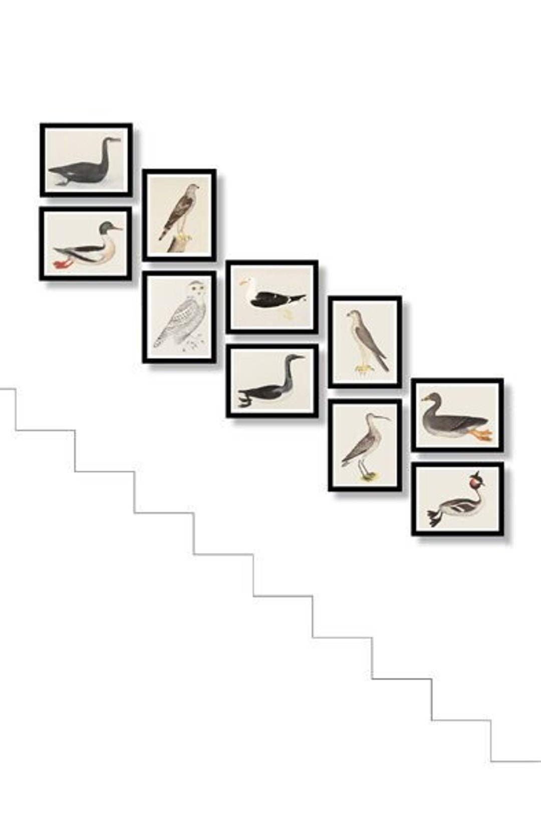 Bird Prints Set, Bird Wall Decor, Birds Gallery, Bird Sketch, Print Set ...