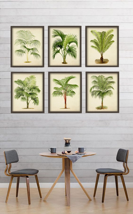 Palm Tree Prints Set of 6, Palm Leaves Print, Palm Botanical ...