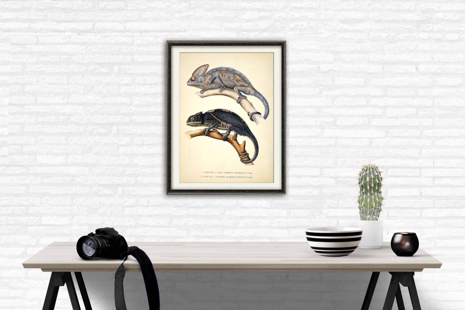 Chameleon Print Animals Wall Art Decor Lizard Reptile Art | Etsy