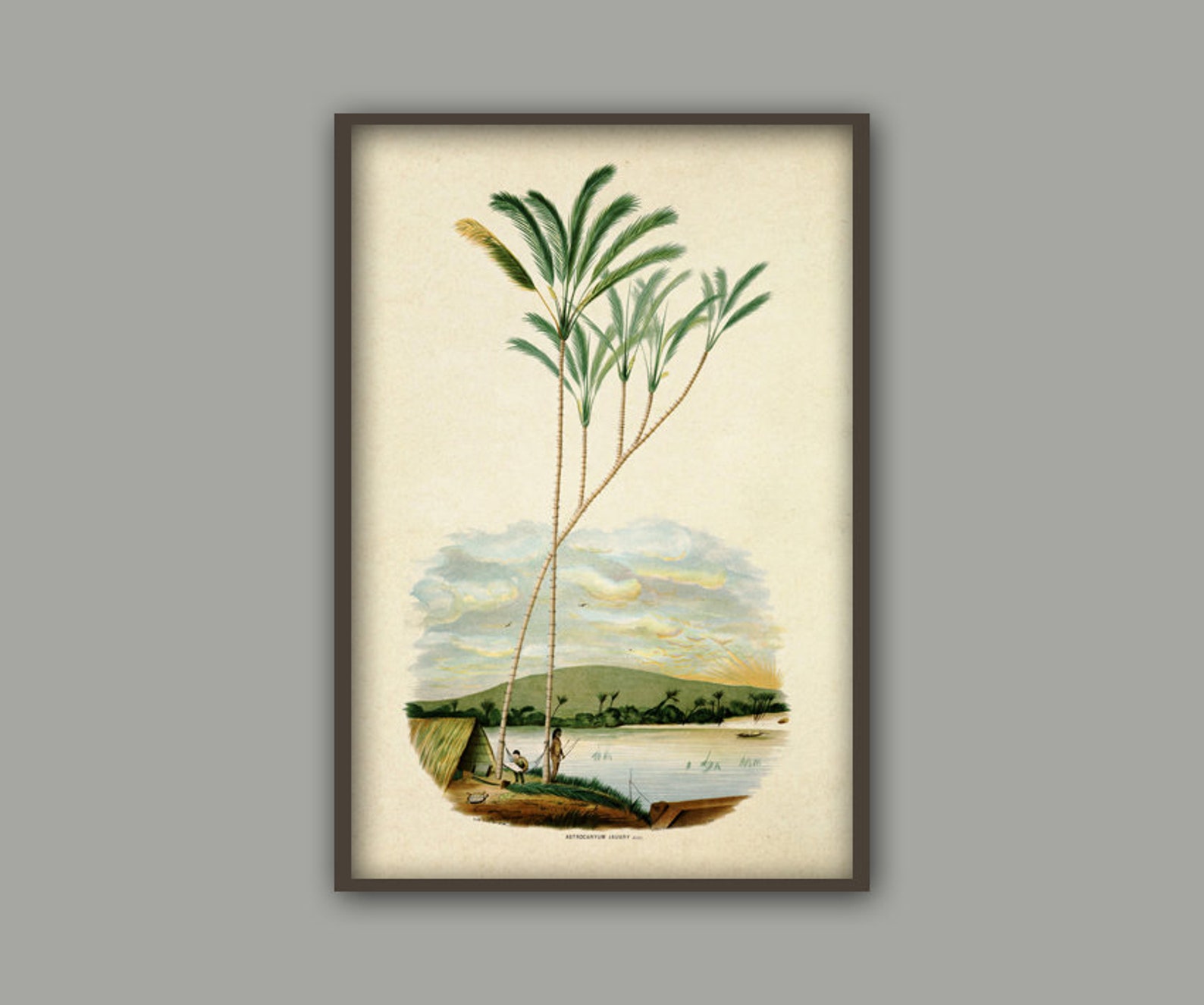 Palm Tree Print, Large Wall Art Decor, Botanical Illustration Art, Palm ...