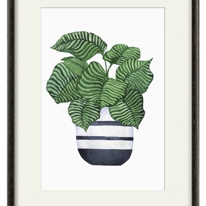 Cactus Plant Print Set of 6, Flowers Pot, Watercolour Indoor Plants ...