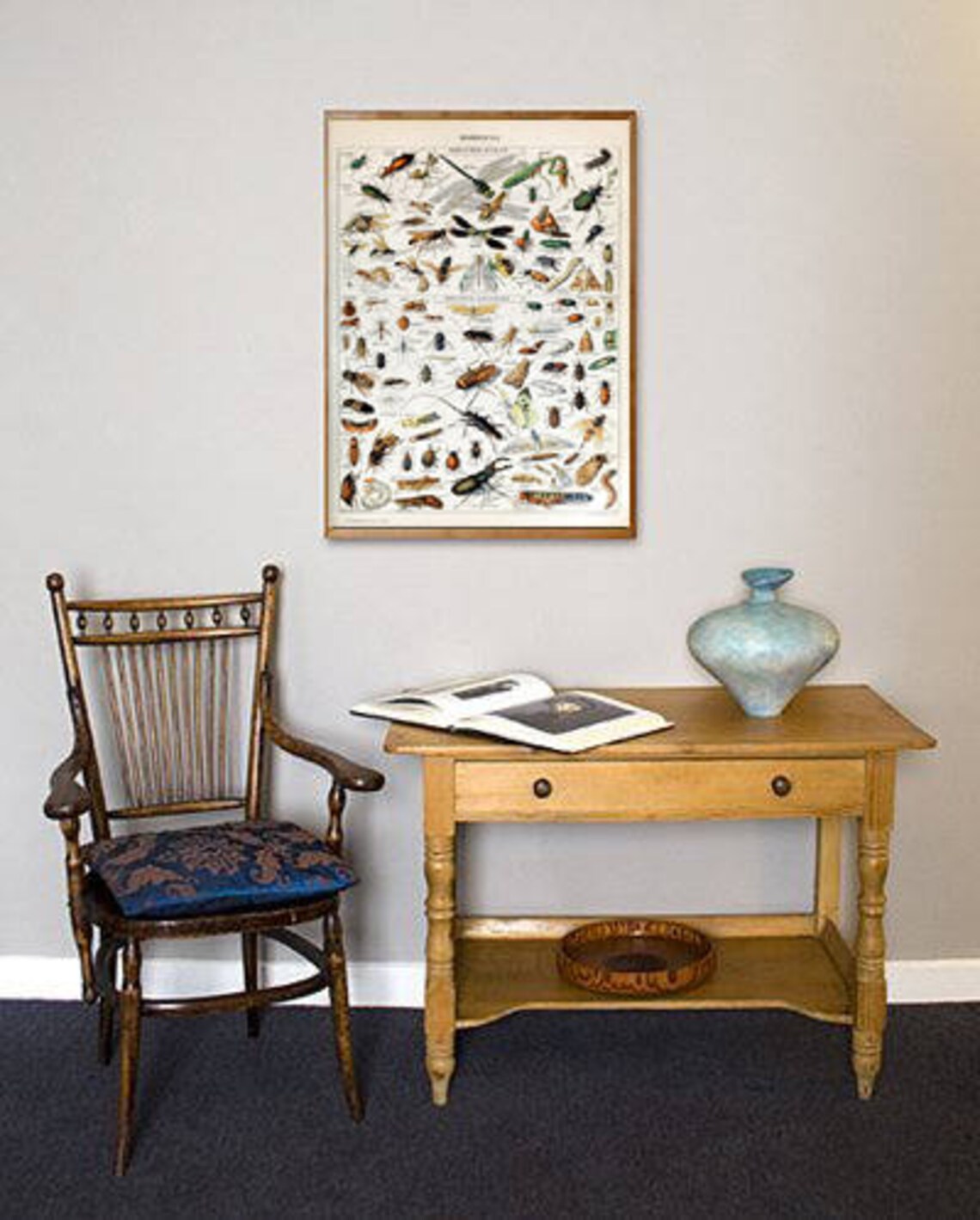 Insect Print Insect Poster Sсience Wall Art Print | Etsy