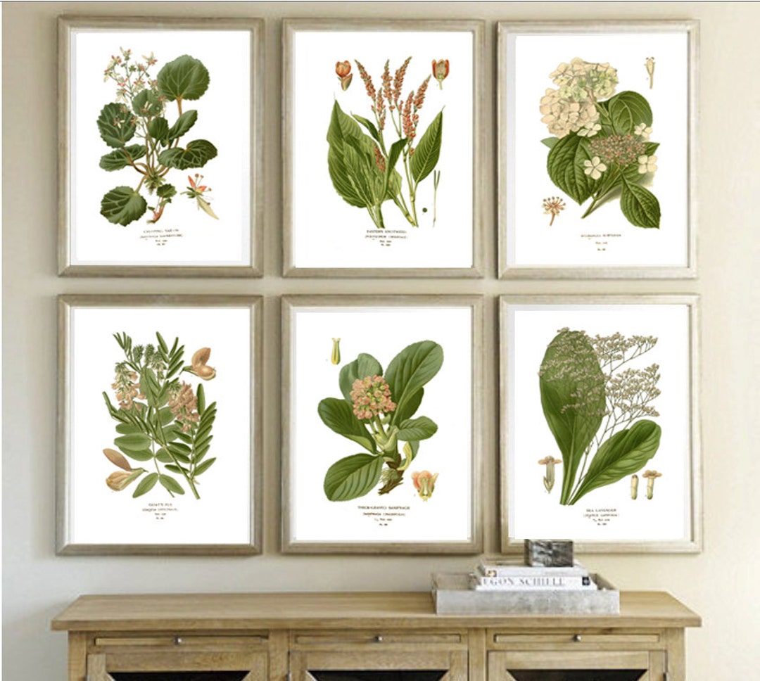 Flowers Prints Set, Botanical Print, Plant Wall Decor, Flower ...