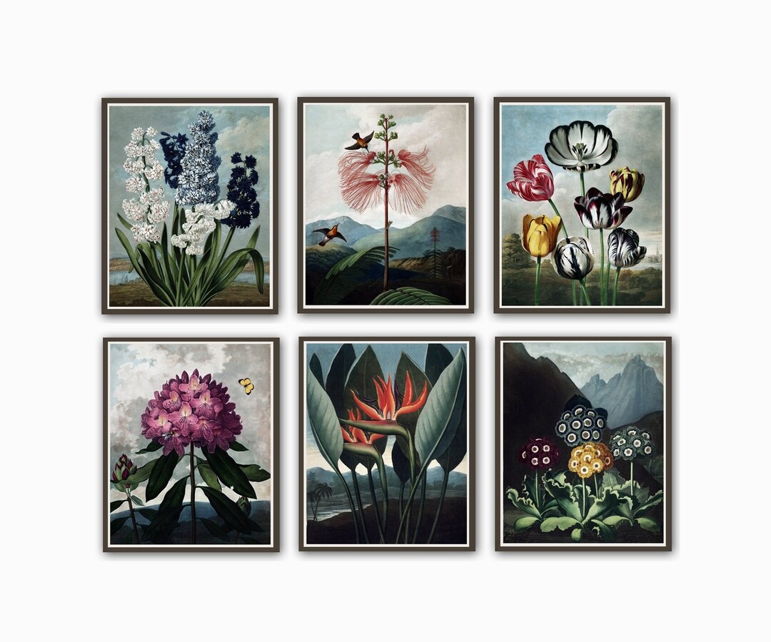Set of 6 Botanical Prints Botanical Set Kitchen Prints Living Room ...