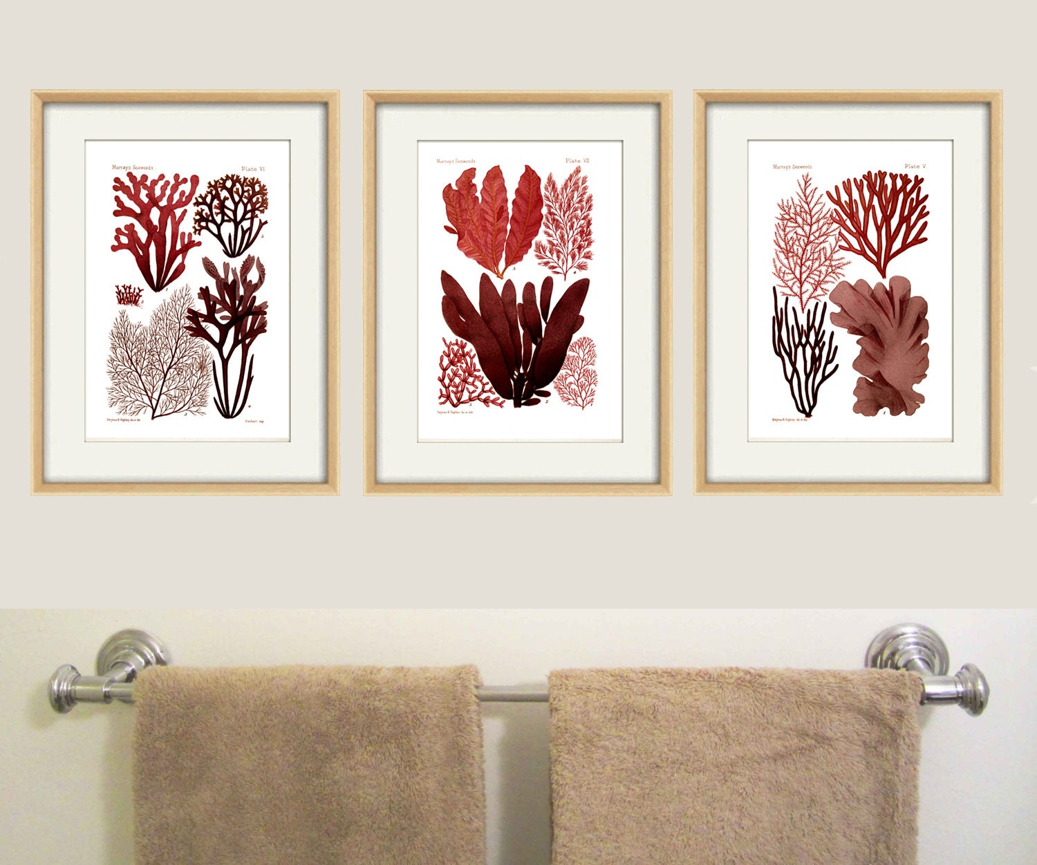 Red Seaweed Print Bathroom or Toilet Decor Algae Large Scale Wall Art ...
