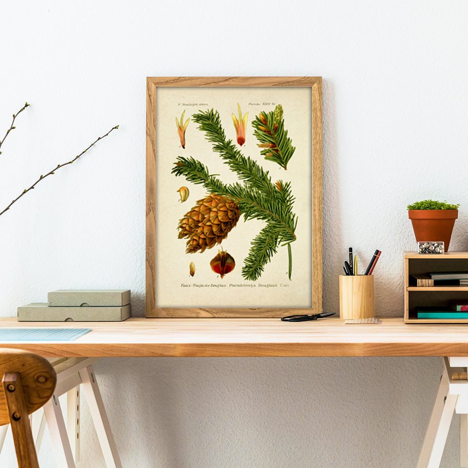 Cones Pine Print Forest Poster Plant Wall Art Print. Branch - Etsy