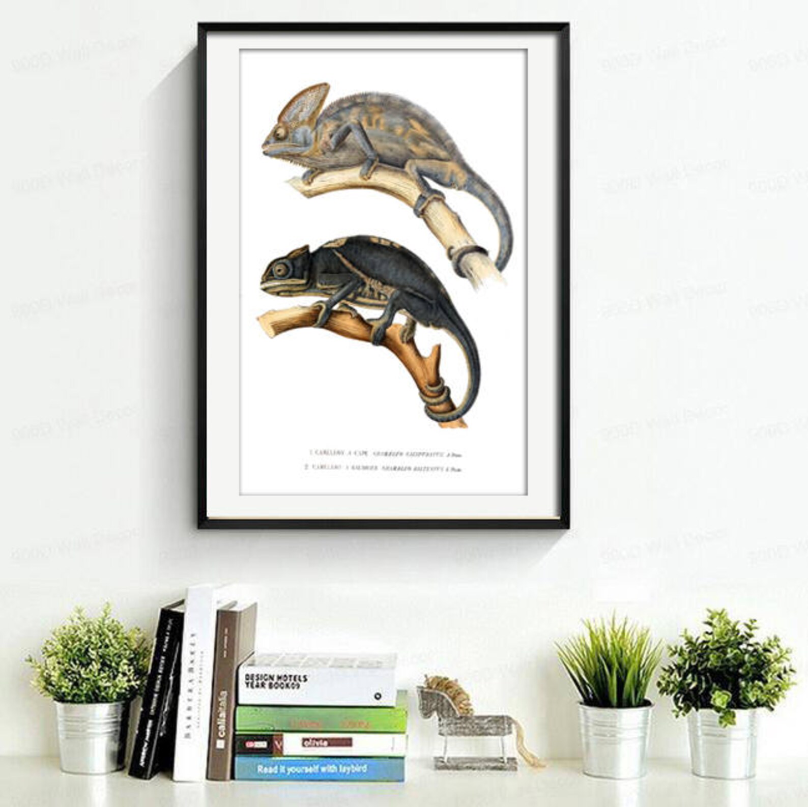 Chameleon Print Animals Wall Art Decor Lizard Reptile Art Large Wall ...