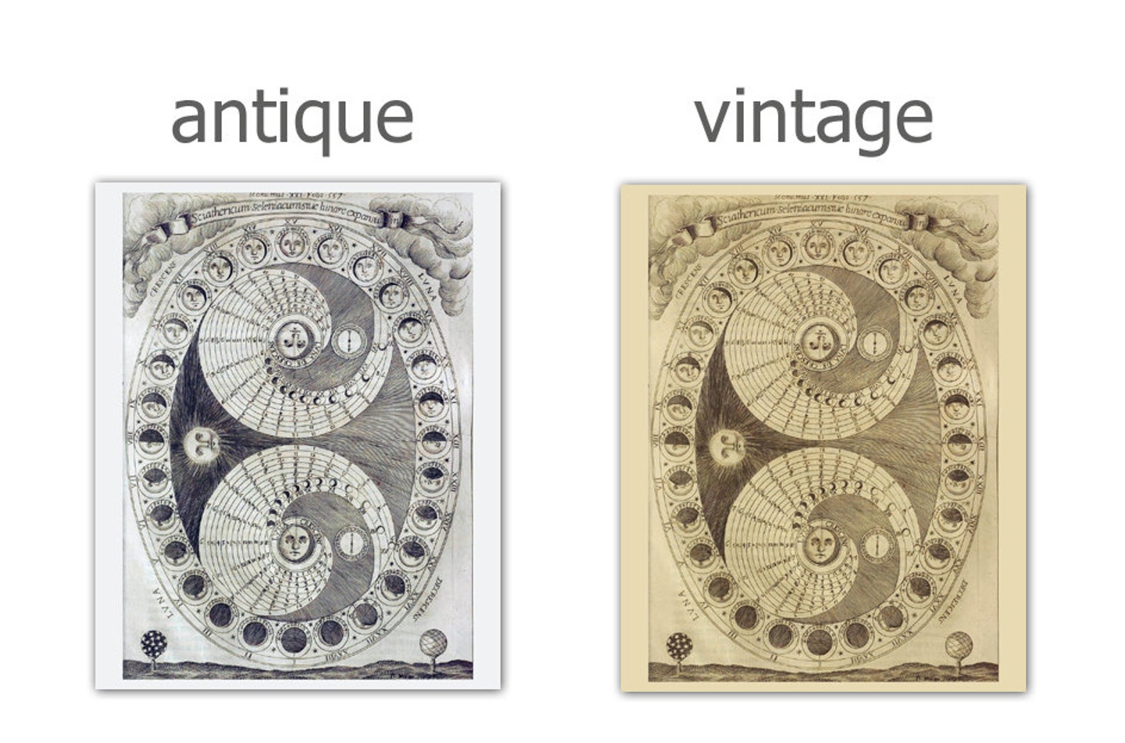 Antique Moon Phases Wall Art Print Moon Bedroom Decor Moon | Etsy