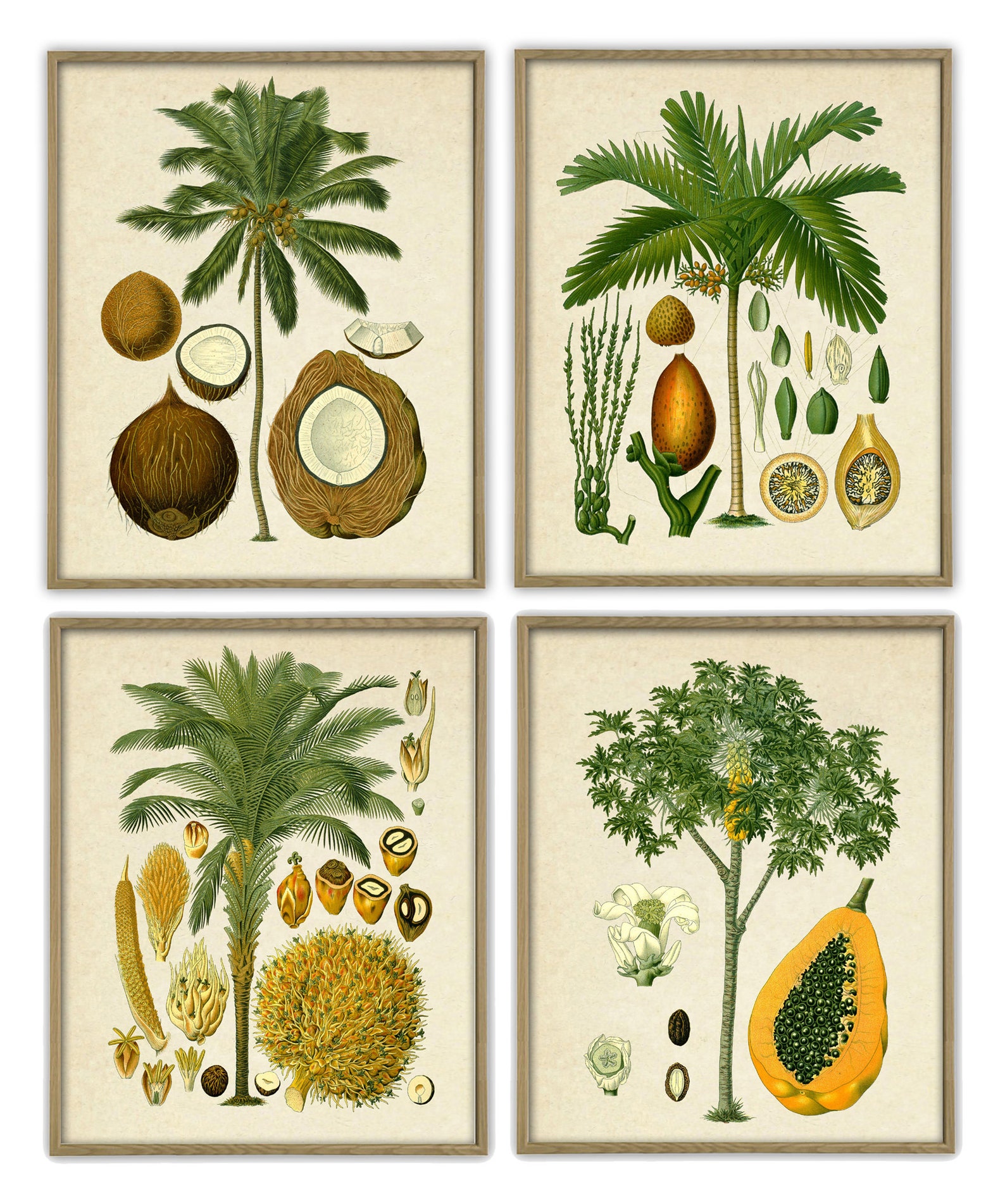 Palm Tree Print Set of 4 Large Wall Art Decor Vintage - Etsy