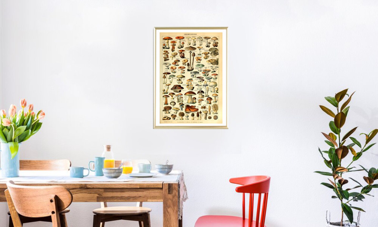 Mushroom Print Kitchen Wall Decor Vintage Botanical Wall | Etsy