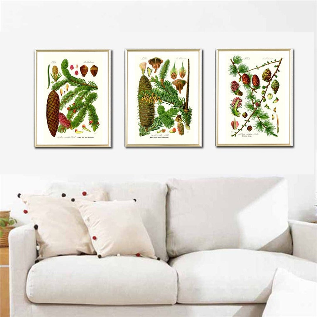 Botanical Art Print, Spruce Cones Print, Forest Tree Illustration Print ...