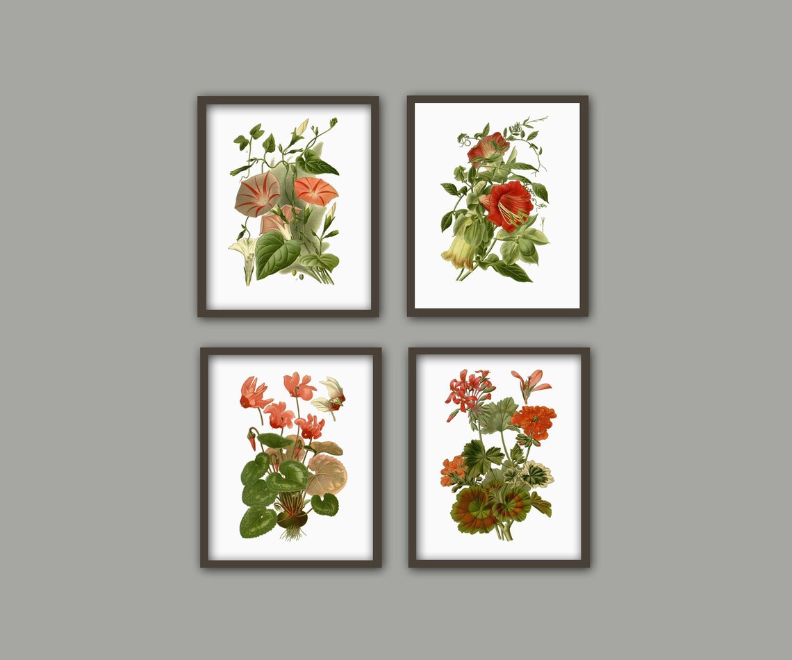 Beautiful Flowers Print Set of 4 Home Decor, Botanical Illustrations ...