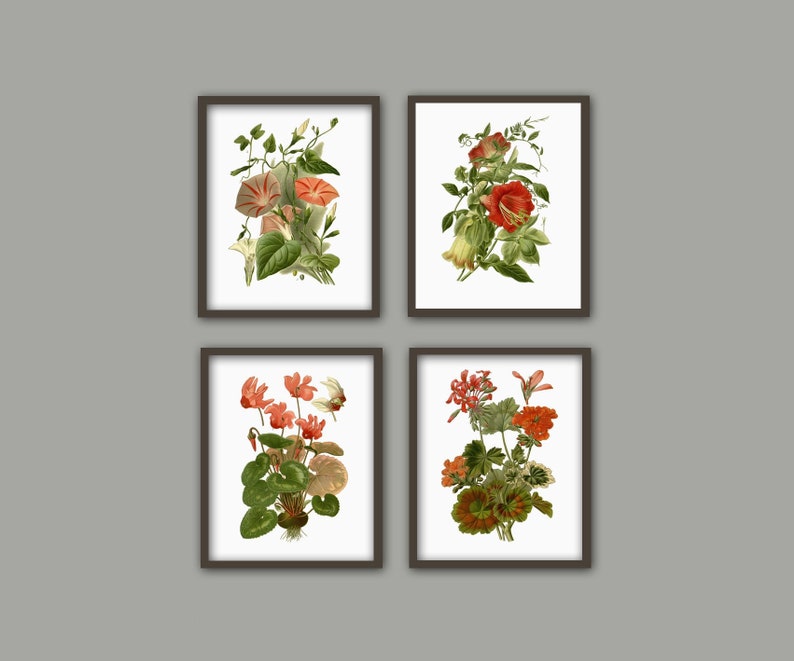 Beautiful Flowers Print Set of 4 Home Decor Botanical - Etsy