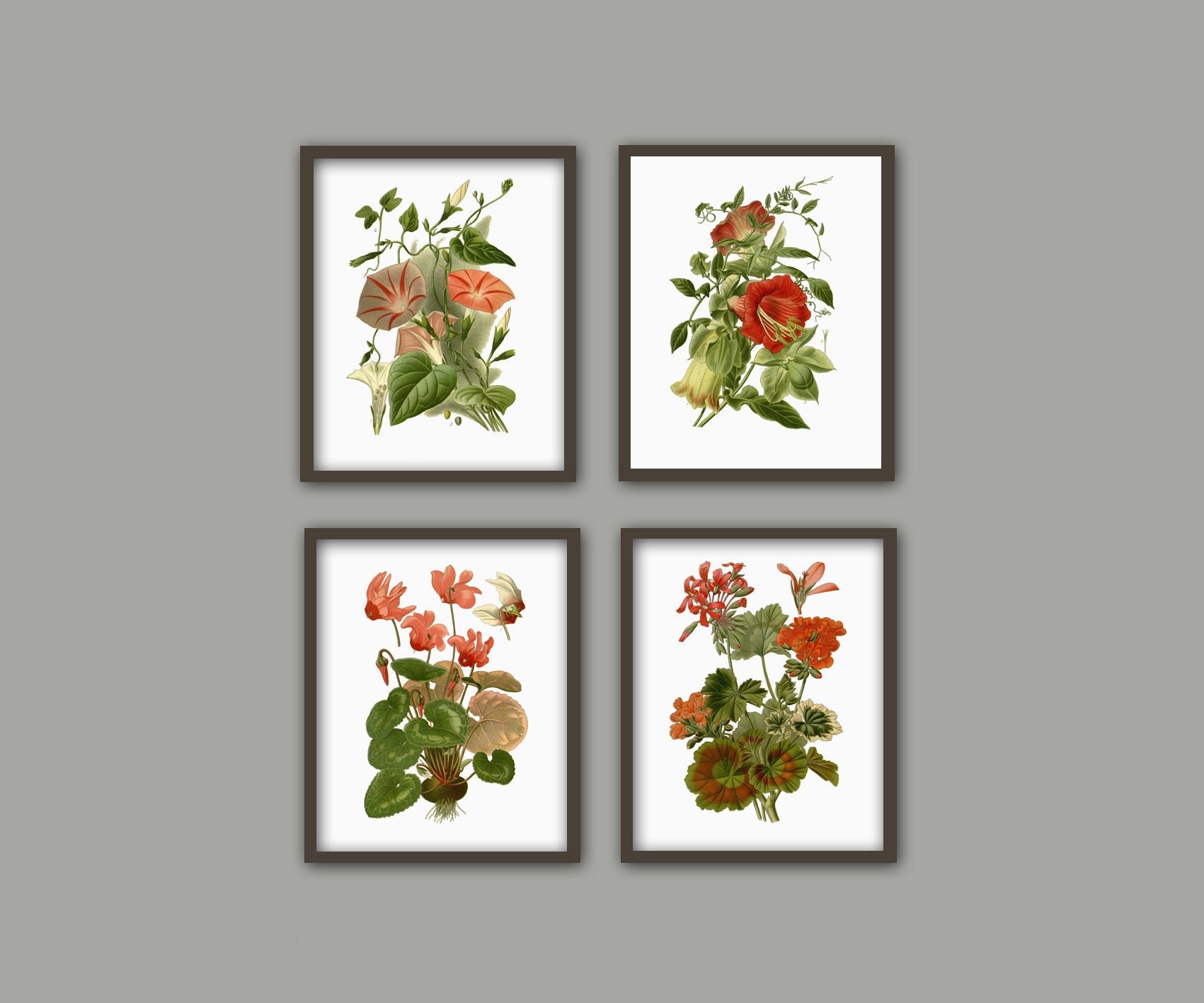 Beautiful Flowers Print Set of 4 Home Decor Botanical - Etsy