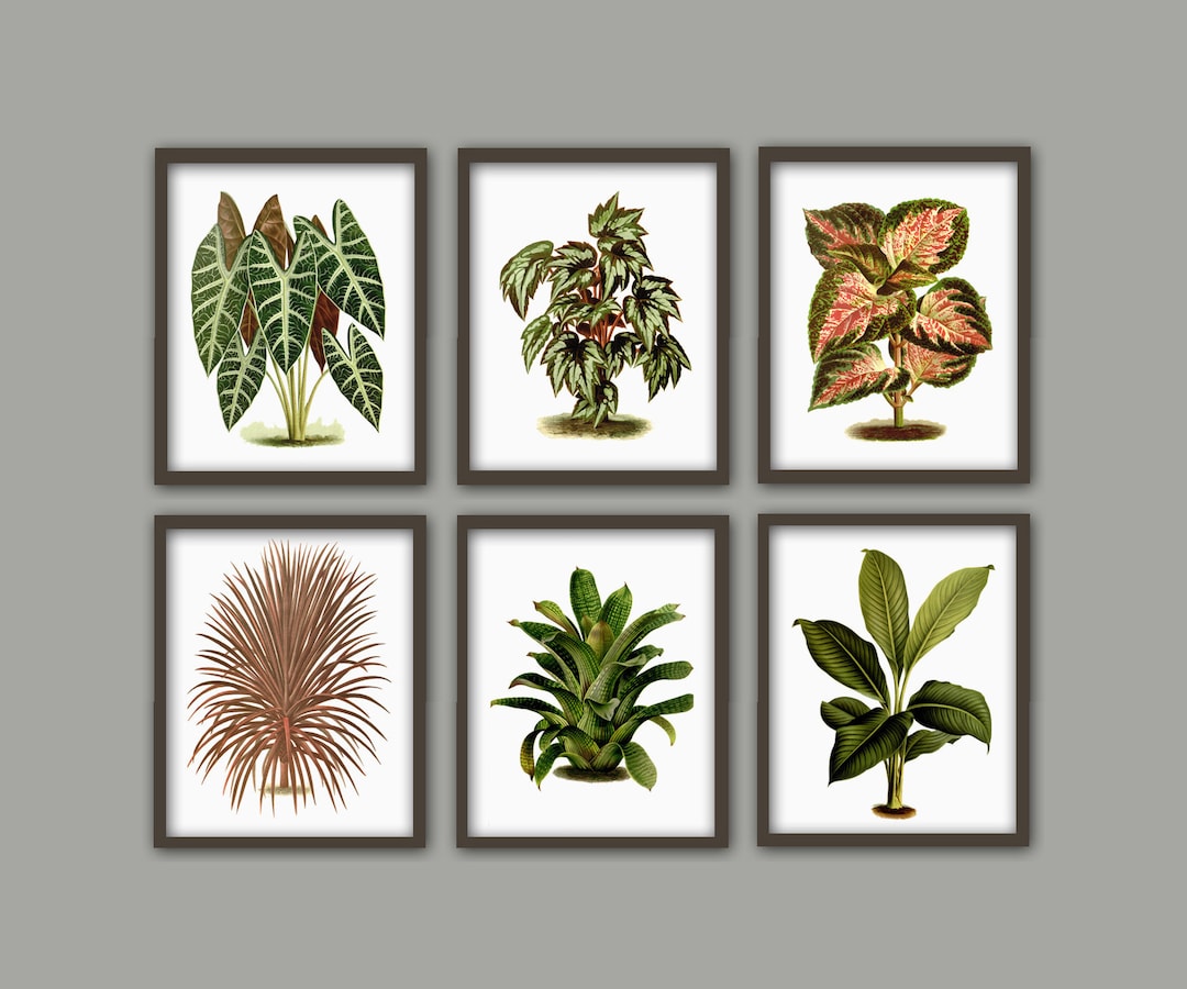 Plant Print Set, Plant Posters, Wall Art Decor, Floral Gallery Wall - Etsy
