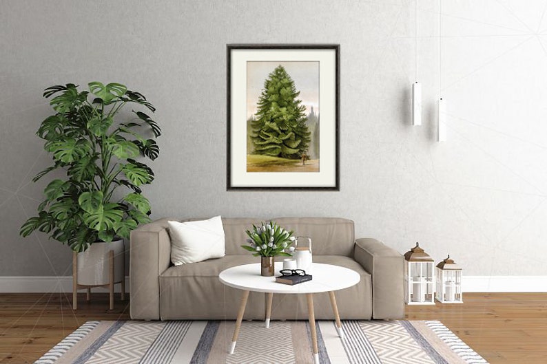 Pine Tree Wall Art Print Botanical Decor Green Tree Poster | Etsy