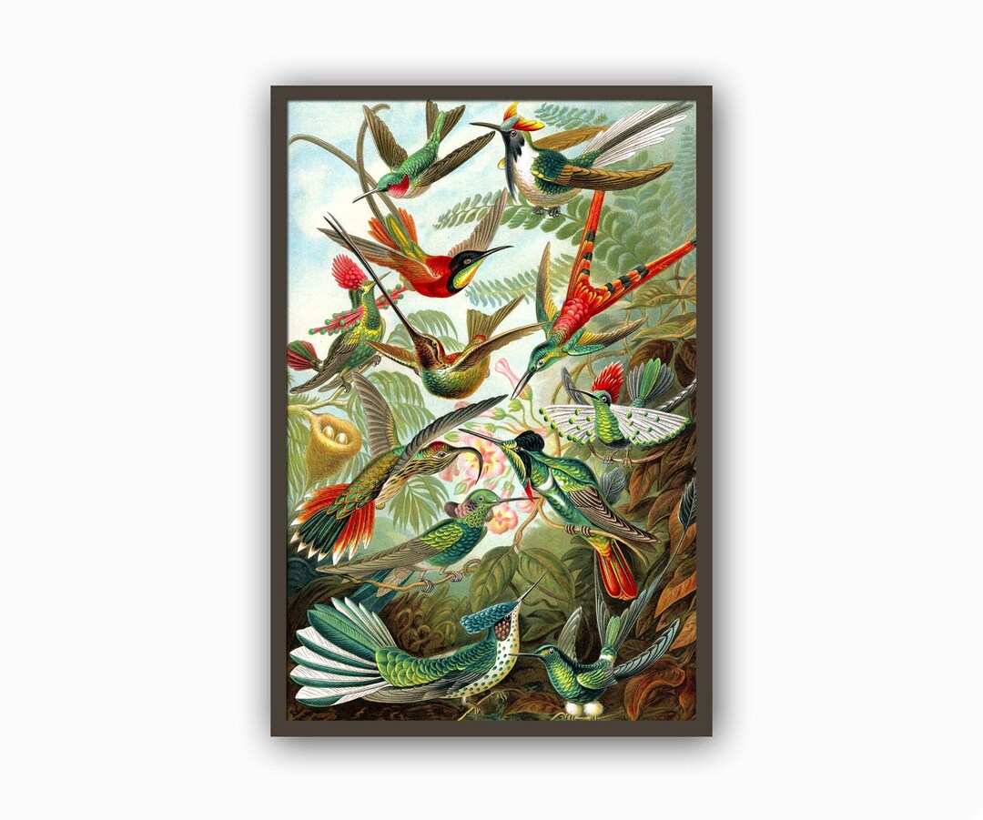 Bird Print Tropical Bird Poster Bird Illustration Wall Art Decor ...
