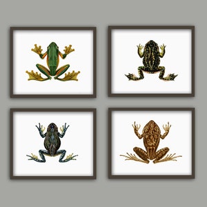 Frogs Print Reptiles Illustration Amphibian Poster Bathroom Decor ...