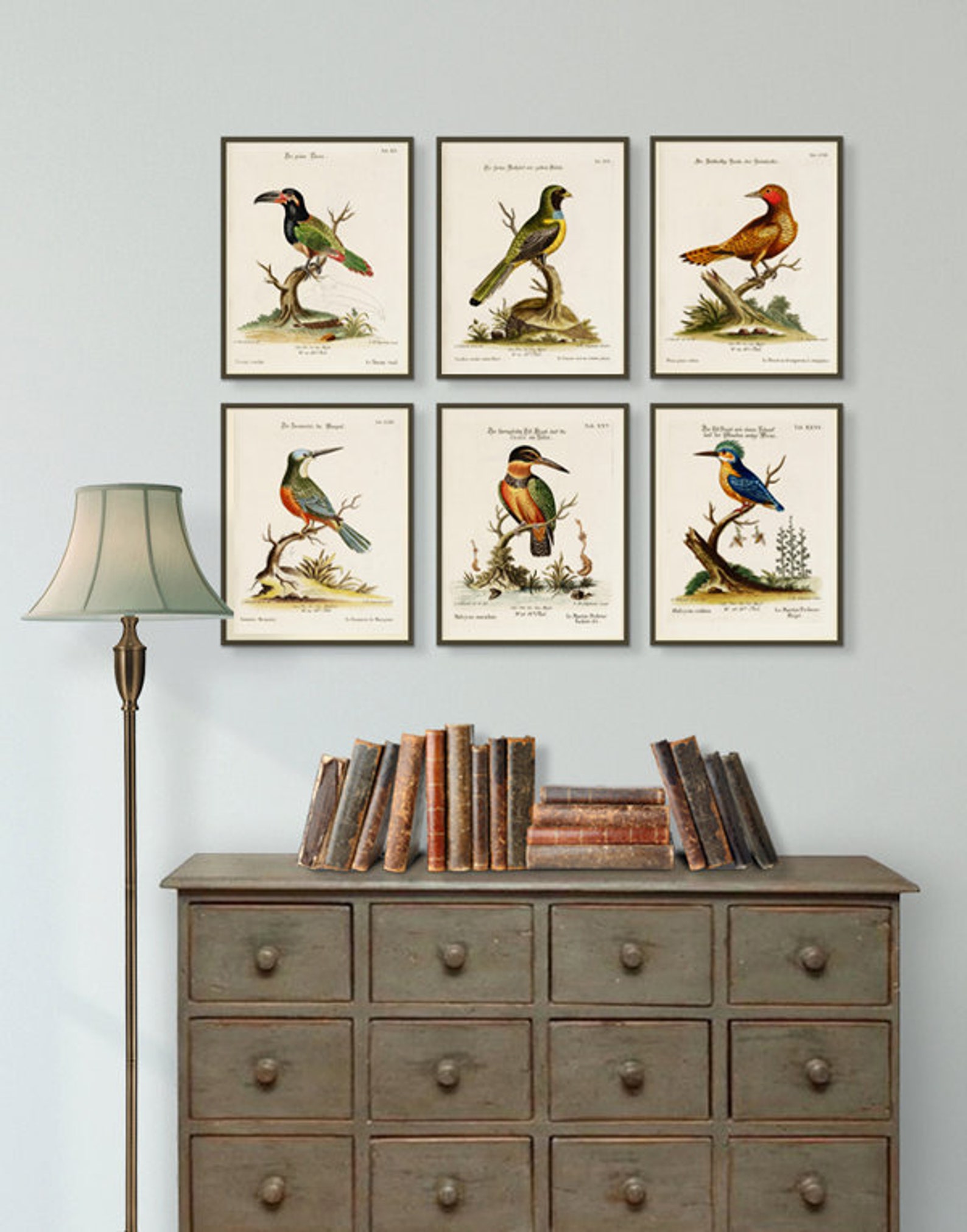 Beautiful Bird Print Set of 6 Large Wall Art Print Living - Etsy