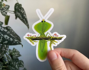 Praying Mantis Stickers - Etsy