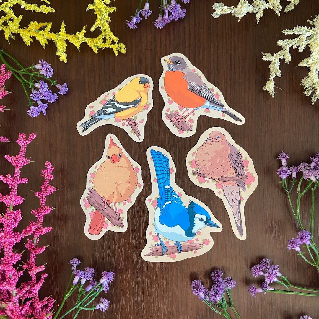 Backyard Bird Sticker Pack | Bird Laptop Stickers, Birds Sticker Bundle ...
