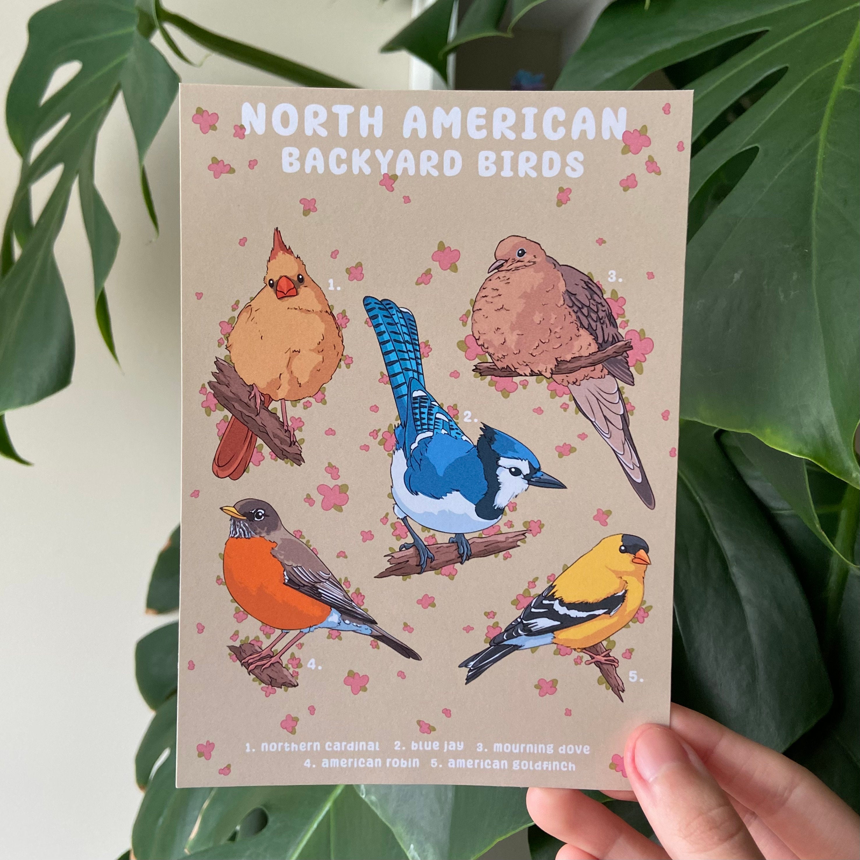 Corvidae & Backyard Birds Art Prints - Bird Species Chart, Corvid Wall ...