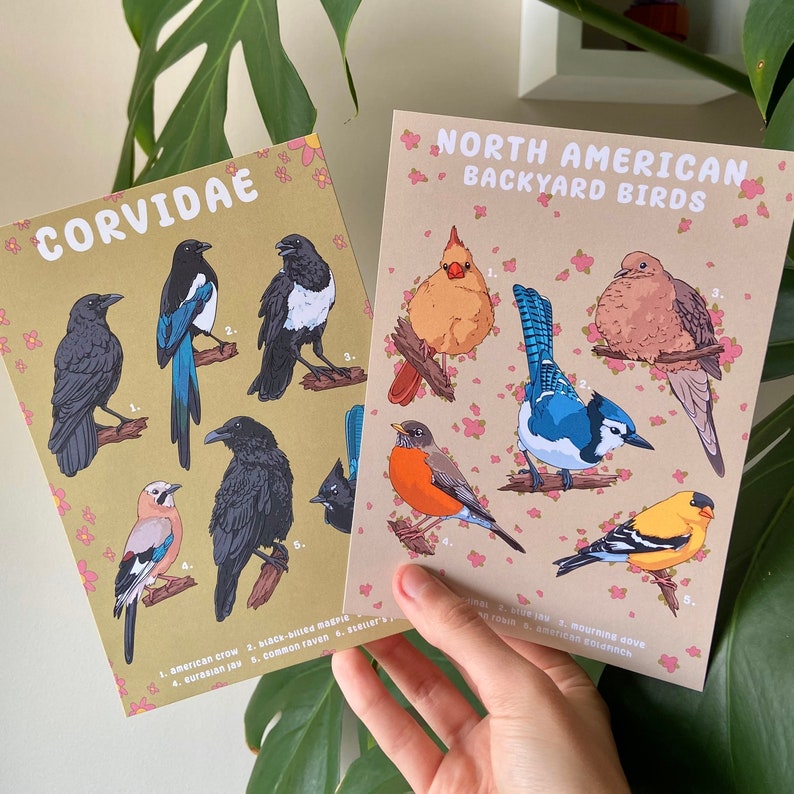 Corvidae & Backyard Birds Art Prints - Bird Species Chart, Corvid Wall ...