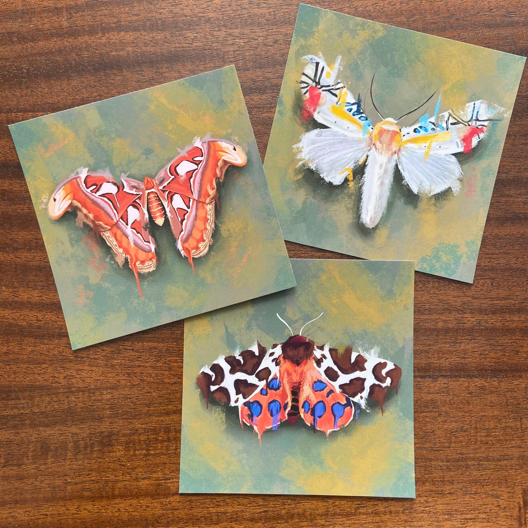 Moth Art Prints | Moth Wall Art, Moth Room Decor, Picasso Moth, Atlas ...