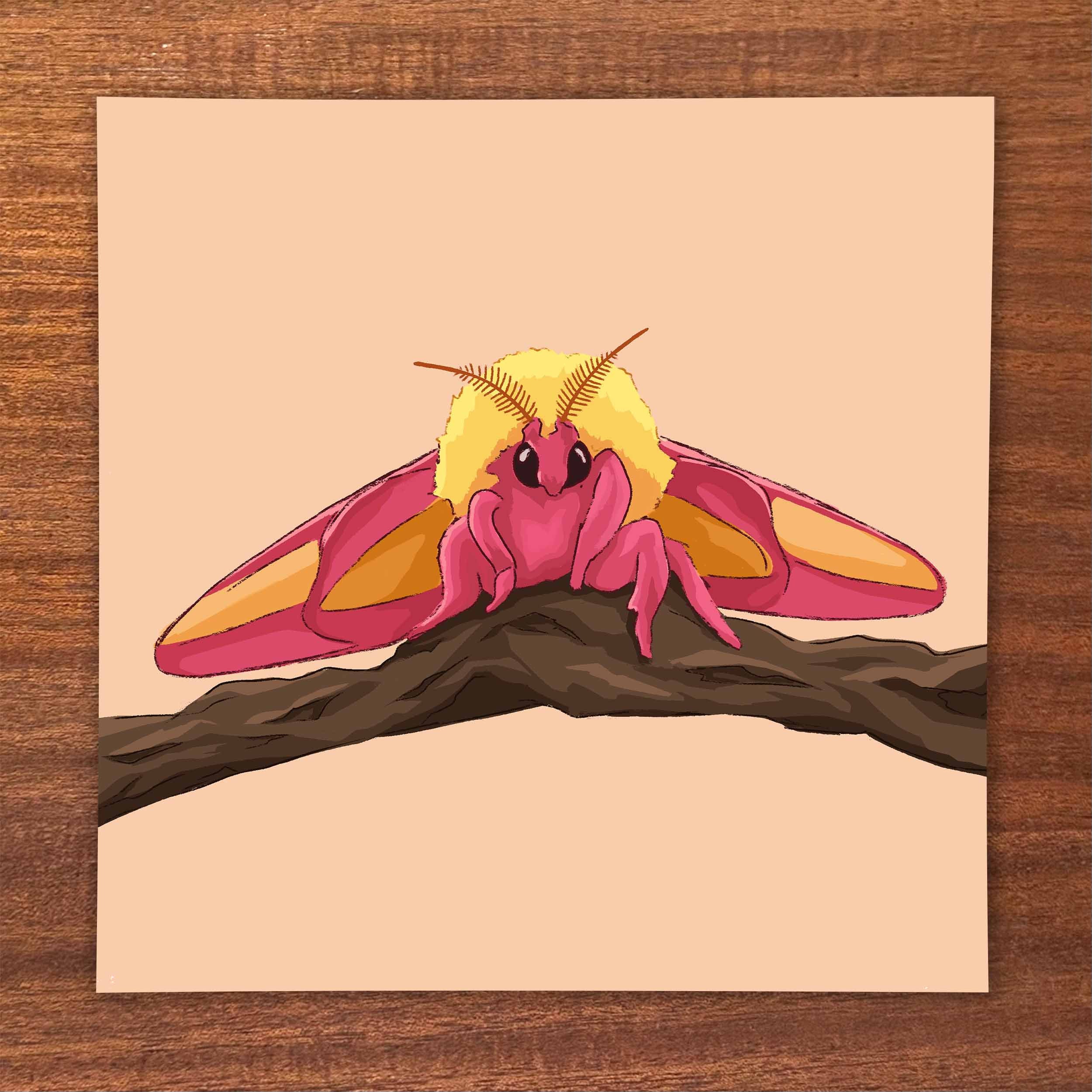 Rosy Maple Moth Art Print Wall Art Room Decor Cool - Etsy
