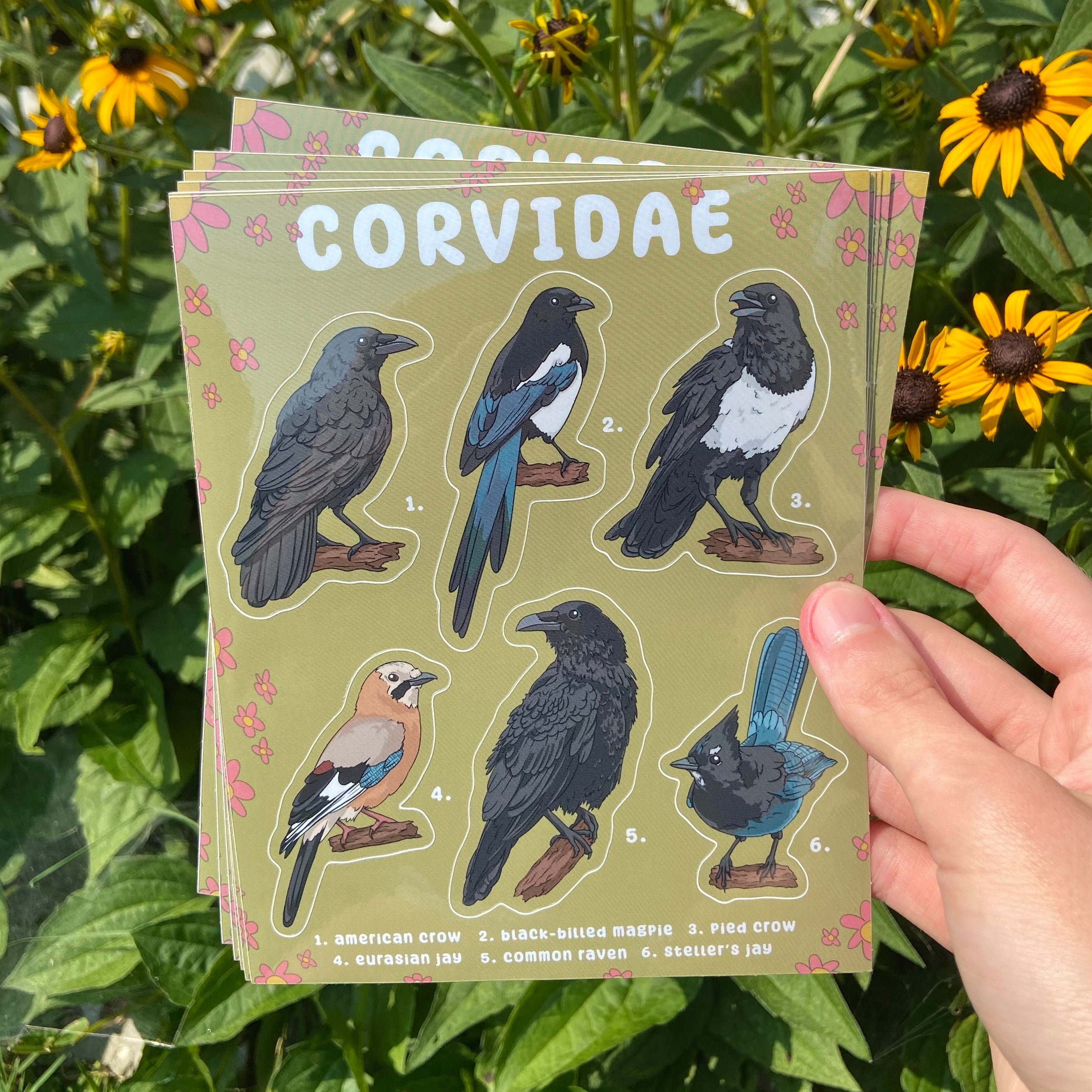 Corvidae Bird Sticker Sheet - Weatherproof Glossy Stickers - Etsy