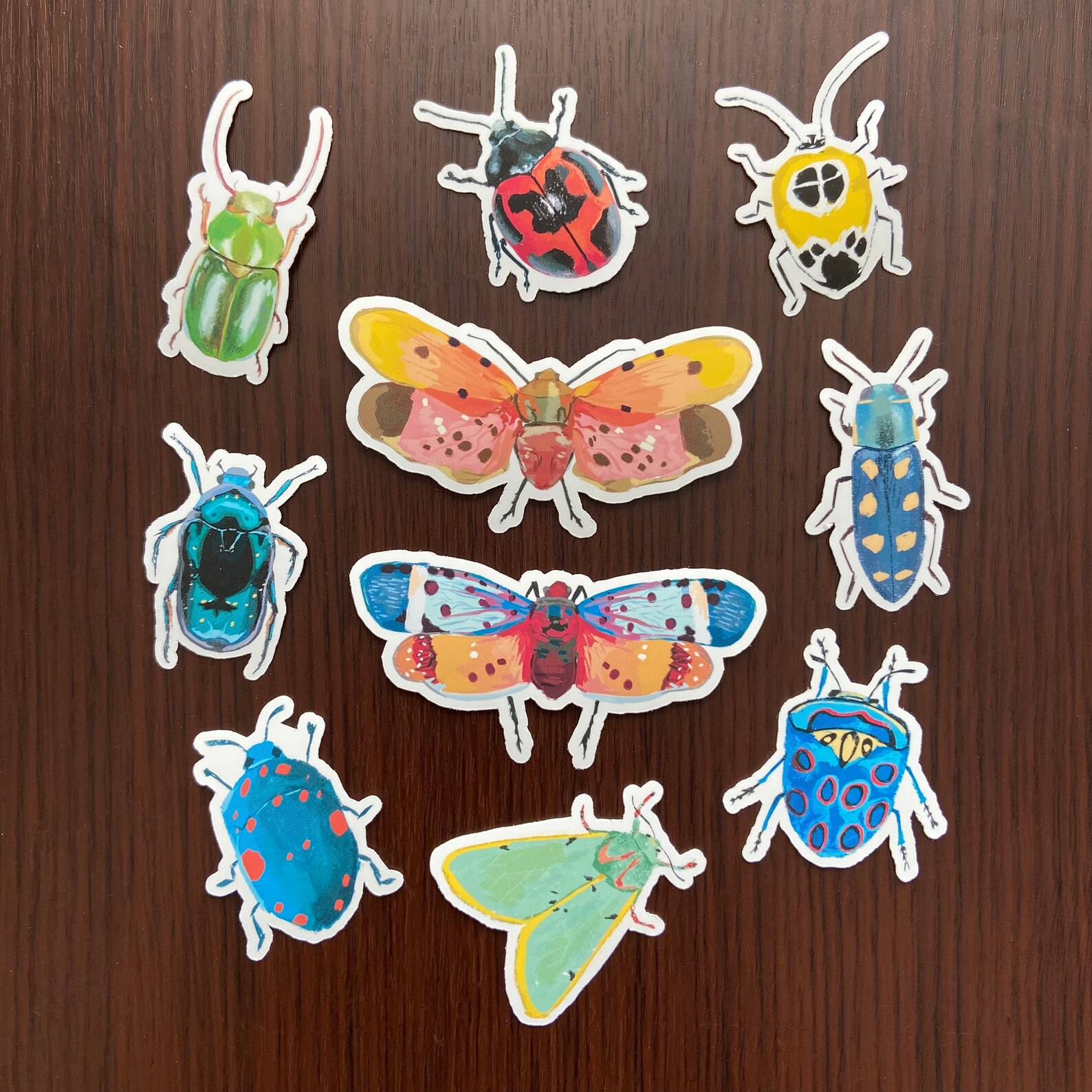 Insect Sticker Pack Laptop Stickers Cool Bugs Sticker - Etsy
