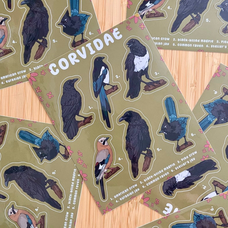 Corvidae Bird Sticker Sheet - Weatherproof Glossy Stickers - Etsy