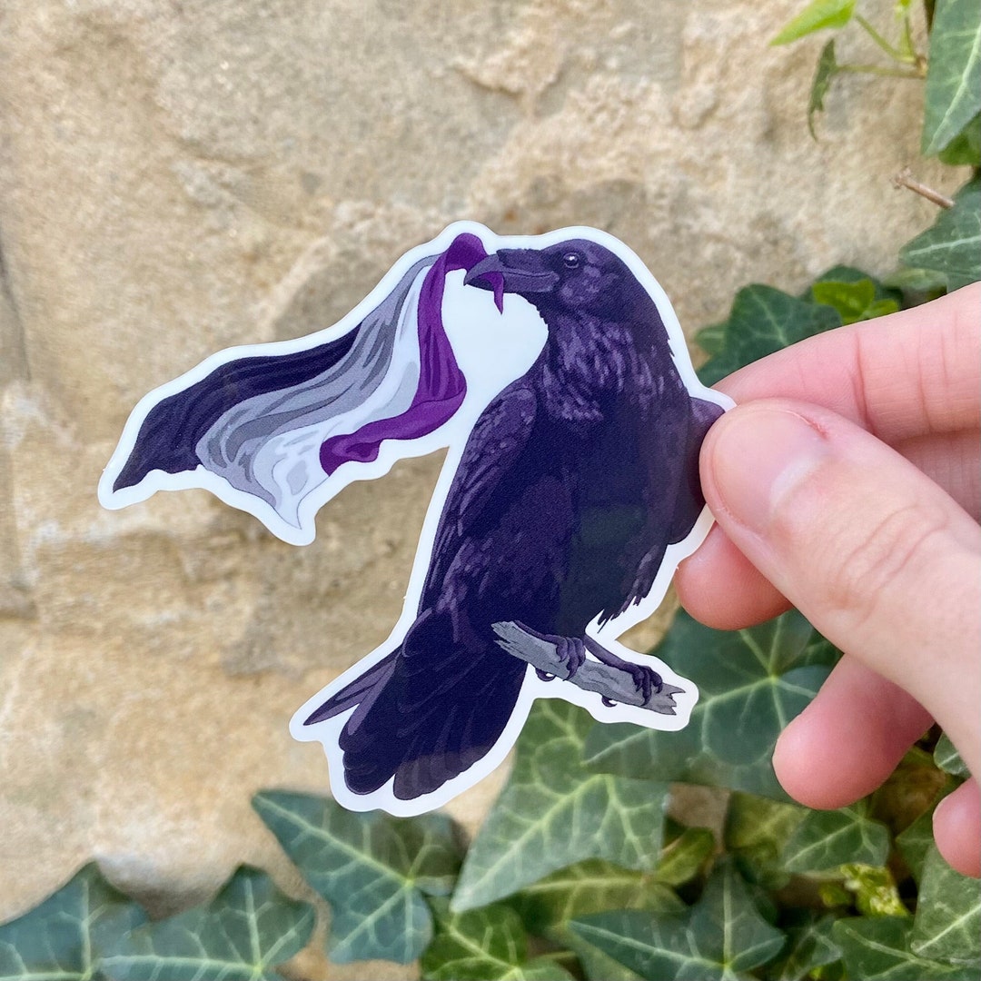 Asexual Pride Raven Sticker - Weatherproof Vinyl Ace Flag Decal - Etsy