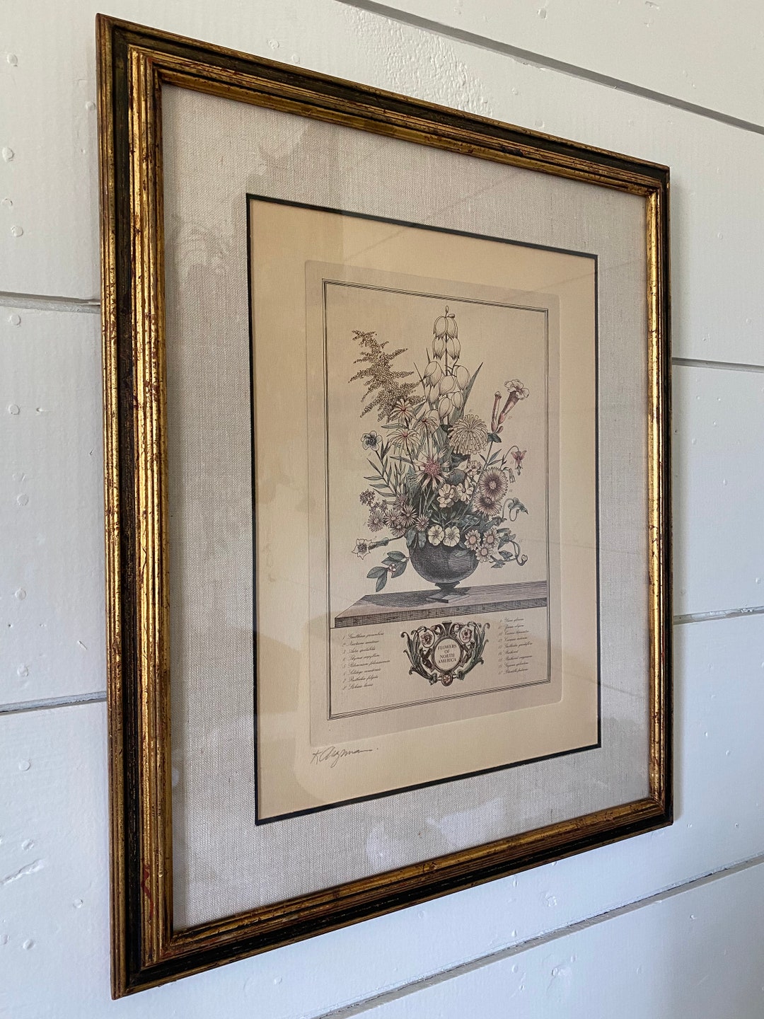 Vintage flowers of North America Print by Kenneth W. Chapman Gold ...