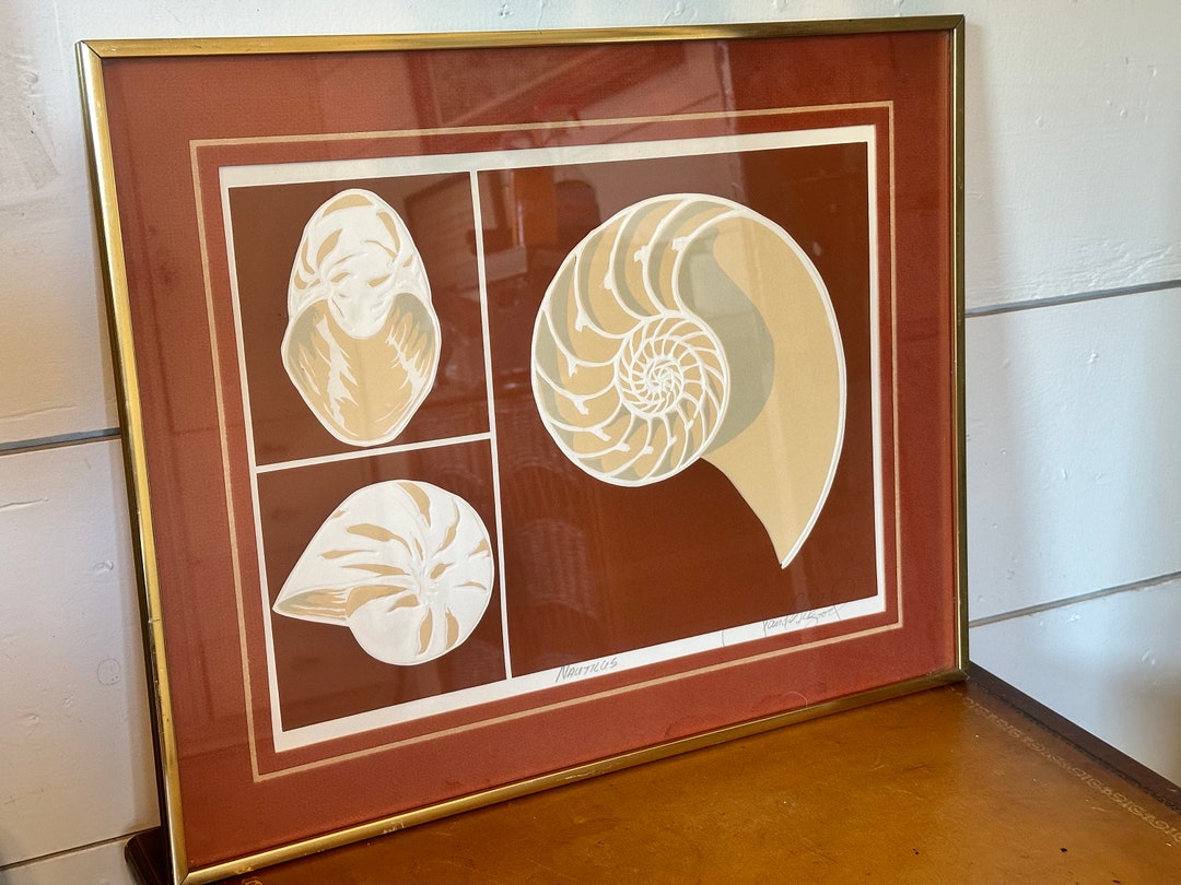Vintage Seashell Framed Art Print Nautilus Embossed David Allgood 1980s ...