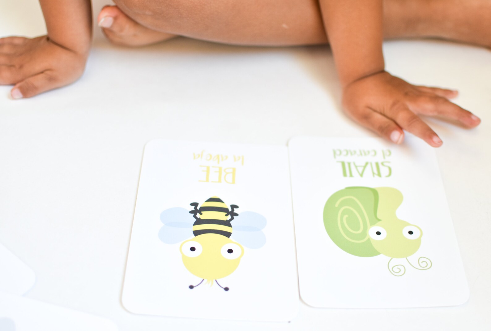Mix and Match Flashcard Bundle Quiet Toddler Activity - Etsy