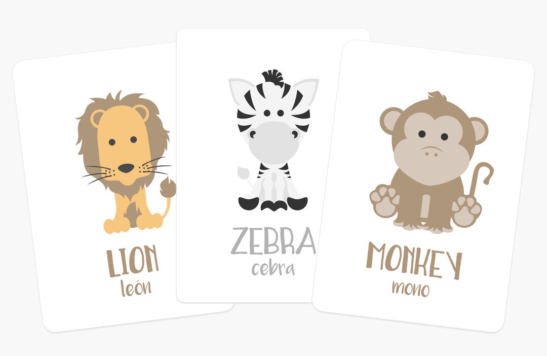 Safari Animal Flashcards, Hand-illustrated Learning Cards - Etsy