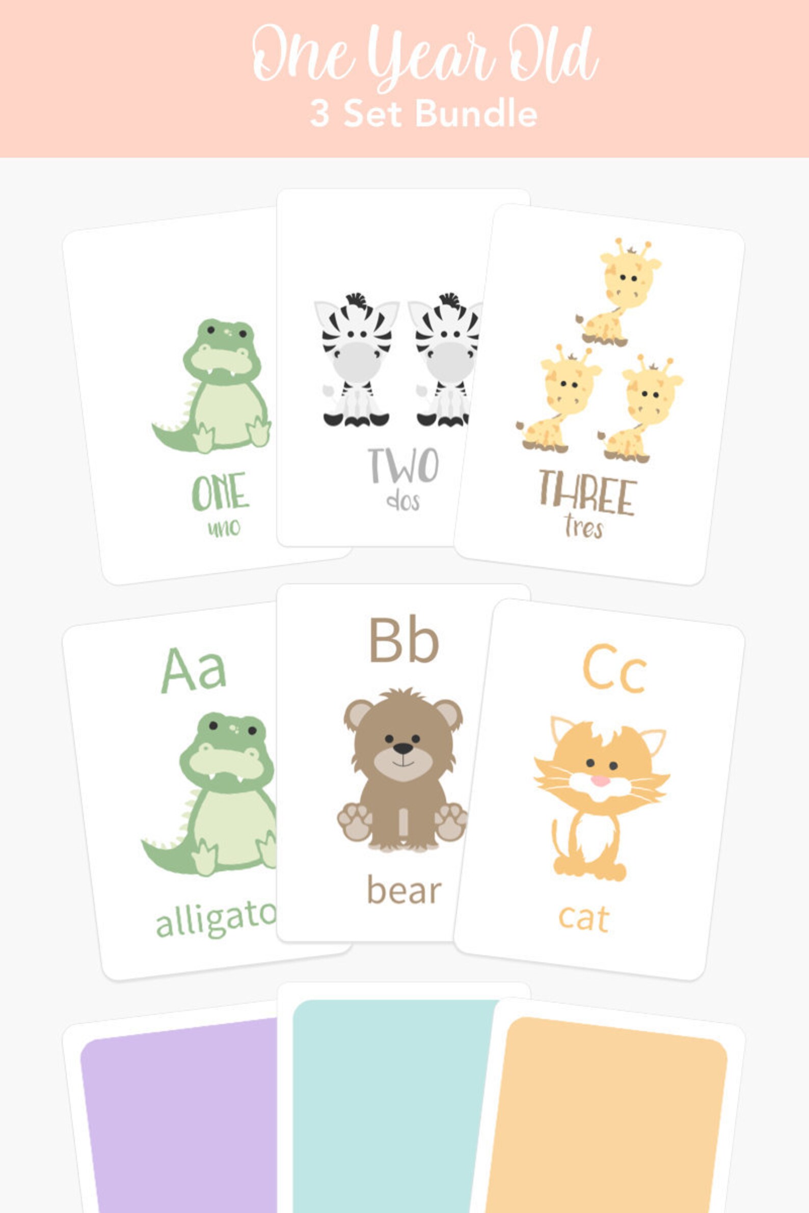 One Year Old Flash Card Bundle First Birthday Gift Toddler - Etsy
