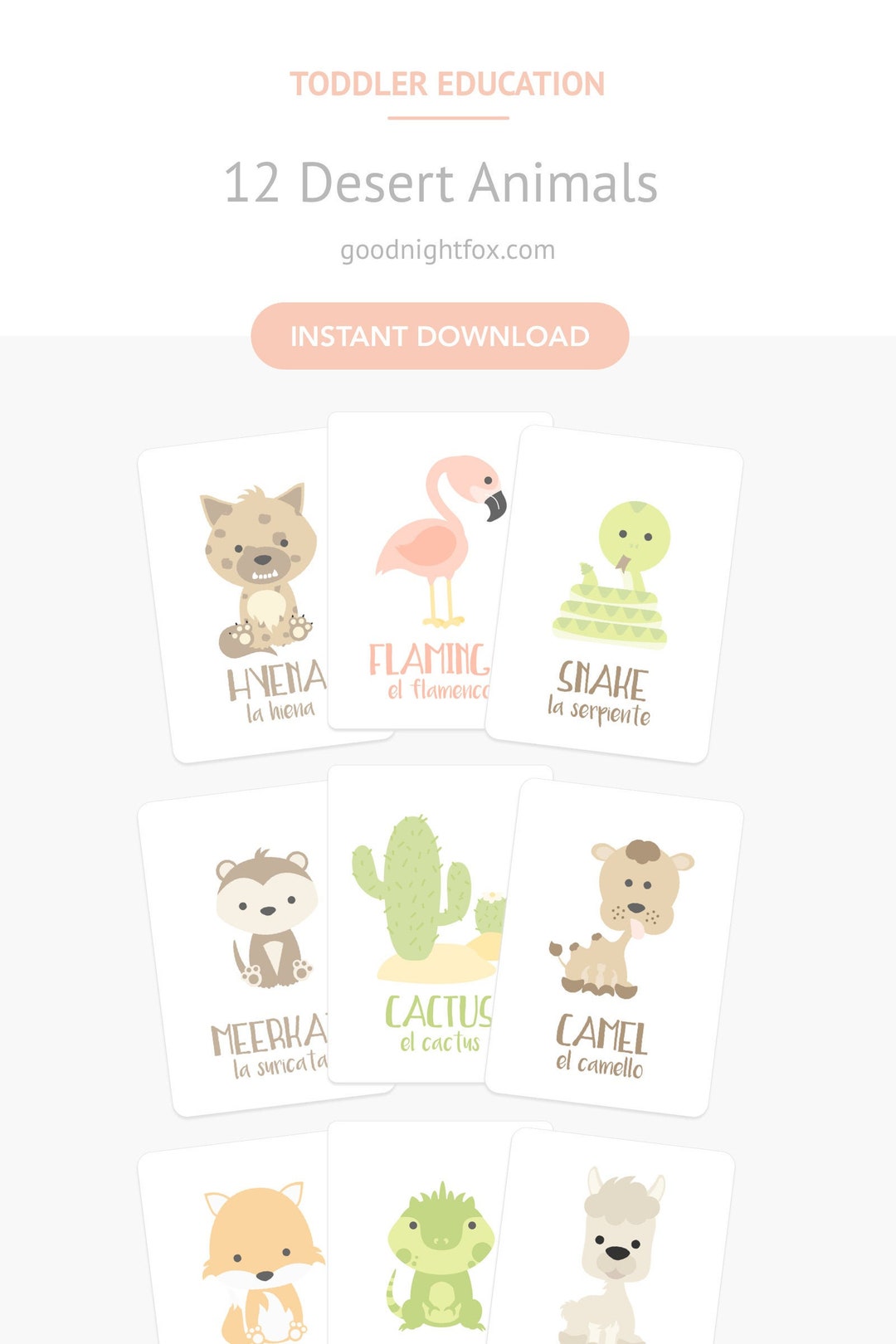 Spanish Desert Animal Flashcards, Bilingual Toddler Education (digital ...