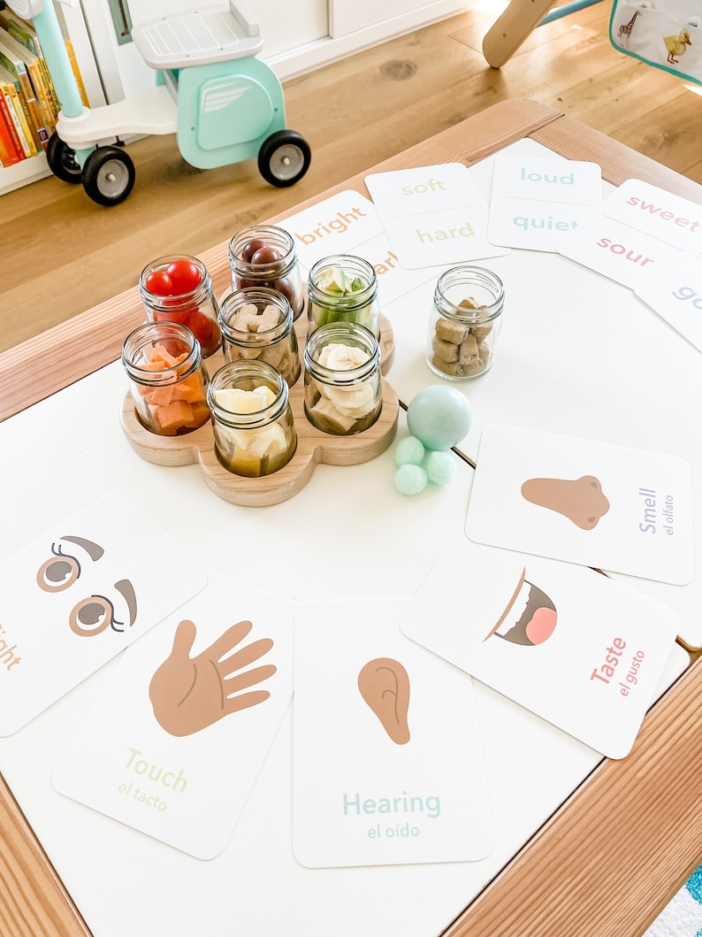 Five Senses Learning Cards Sight Taste Smell Touch Sound - Etsy