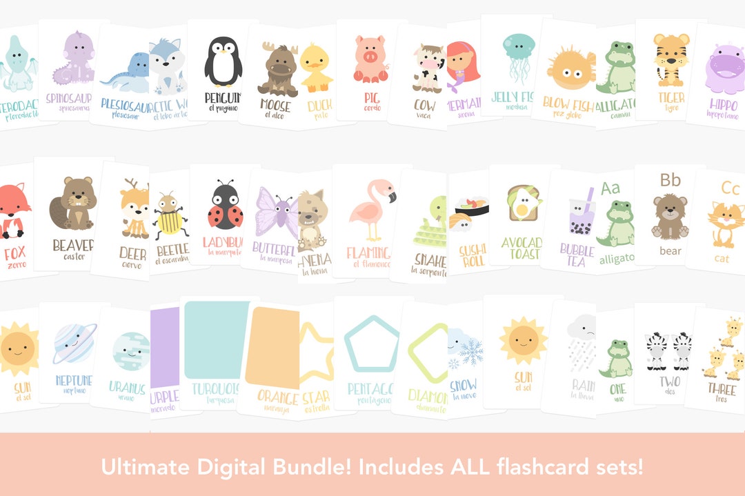 ULTIMATE Digital Flashcard Bundle, Quiet Toddler Activity, Toddler ...