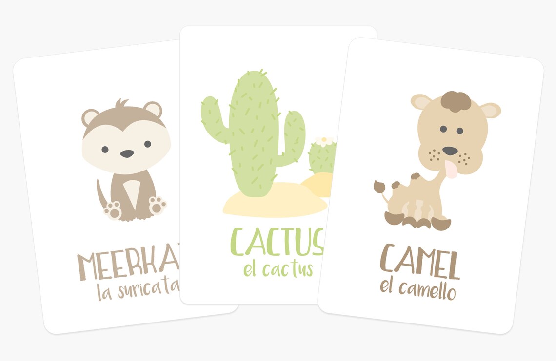 Desert Animal Flashcards Toddler Education Preschool - Etsy