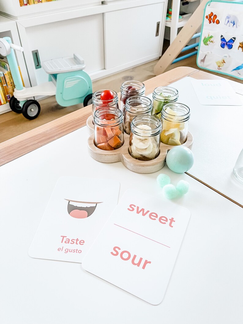 Five Senses Learning Cards Sight Taste Smell Touch Sound - Etsy