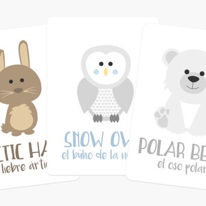 Arctic Animals Flashcards, Kid Educational Gift, Kid Educational Toy ...