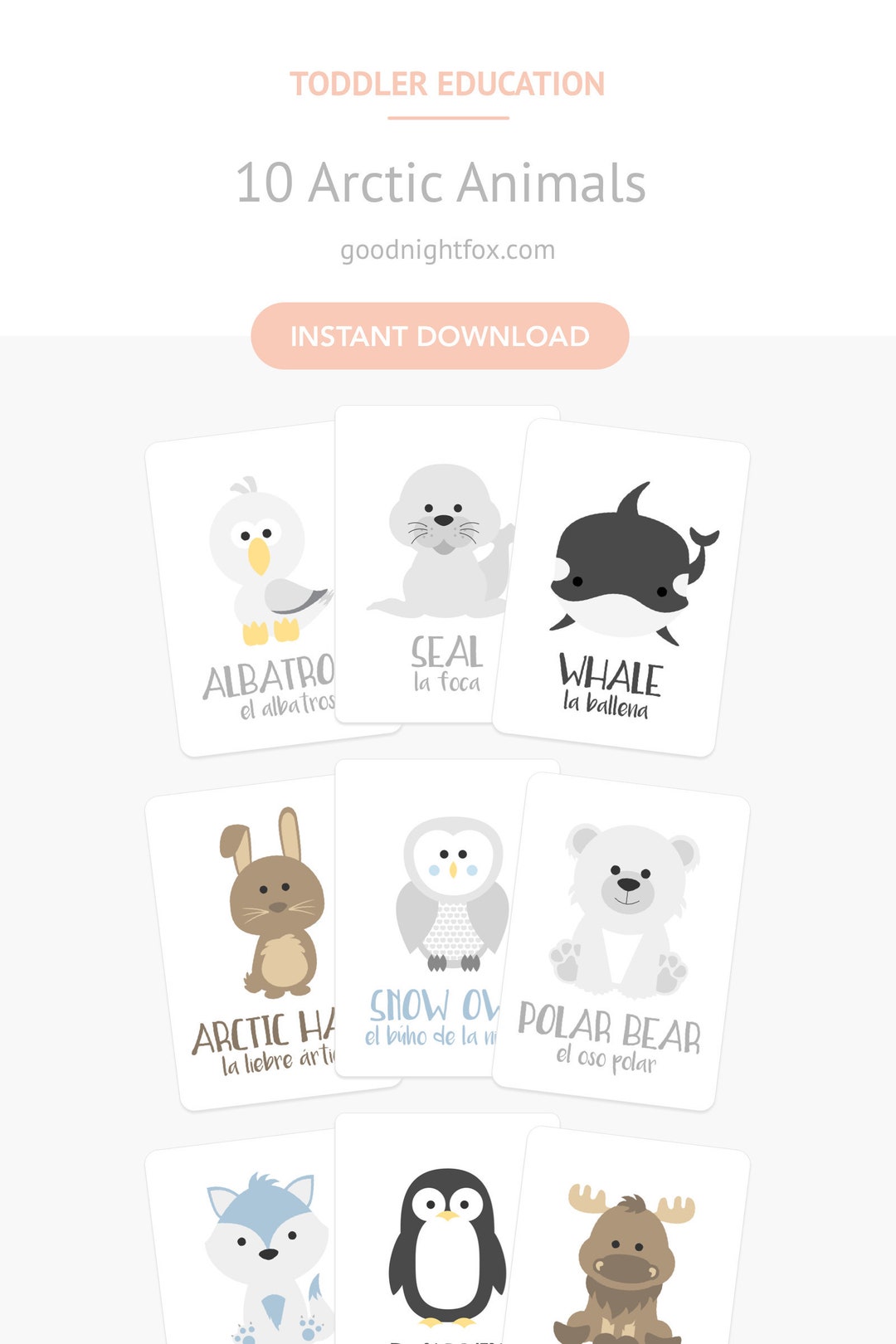 Arctic Animals Flash Cards, Montessori Toddler Education (PDF) - Etsy