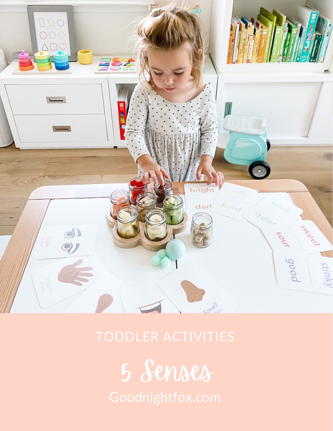 Five Senses Learning Cards, Sight, Taste, Smell, Touch, Sound - Etsy