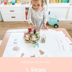 Five Senses Learning Cards, Sight, Taste, Smell, Touch, Sound - Etsy