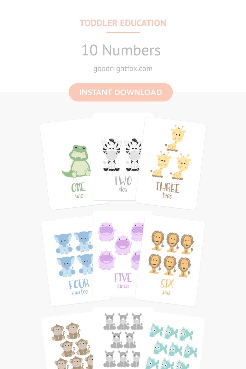 Digital Flashcard Classroom Bundle Quiet Toddler Activity | Etsy