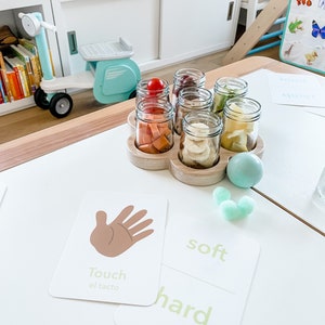 Five Senses Learning Cards, Sight, Taste, Smell, Touch, Sound - Etsy
